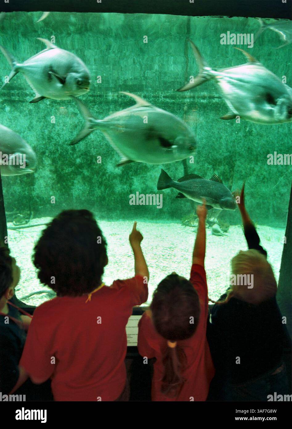 Preschool expansion hi-res stock photography and images - Alamy
