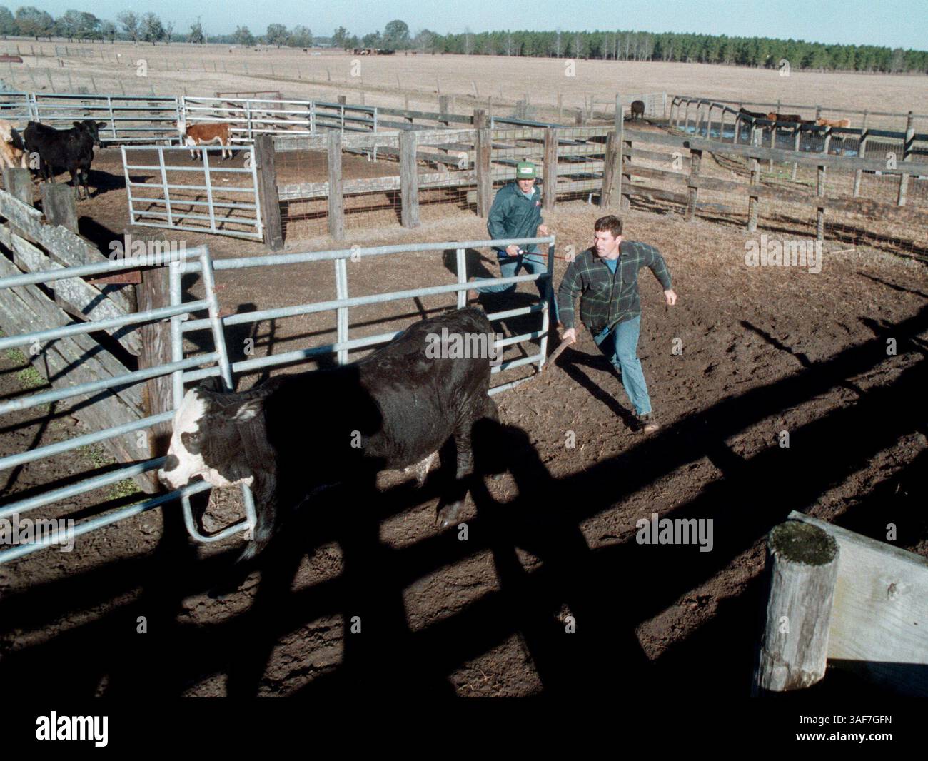 OT.99516.- DELIVER TO:.sports.- 2/15/2000.- Mayo.- CAPTION INFO:.PHOTO ...