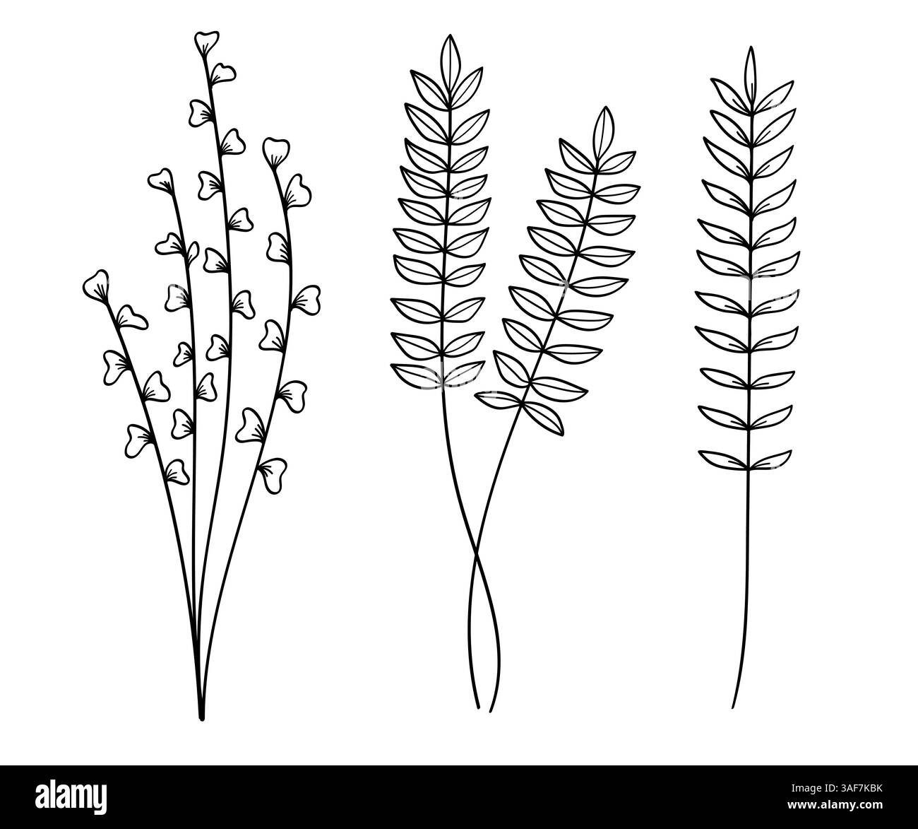Hand-Drawing Twigs with Leaves in a Botanical collection.Vector ...
