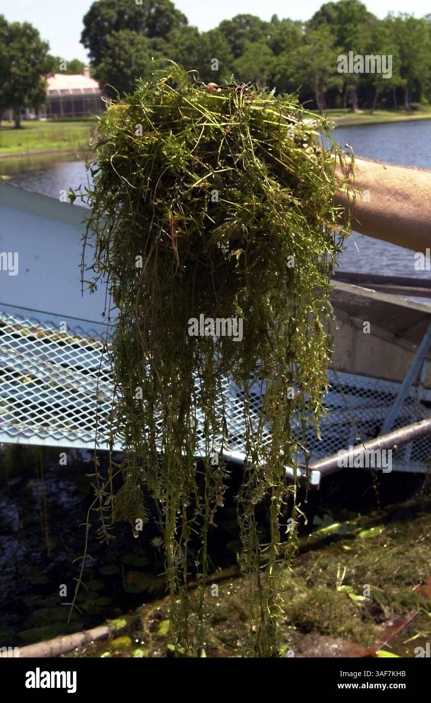 CW.103133.- - DELIVER TO:.North of Tampa.- -.4/20/2000.- -.Lutz ...