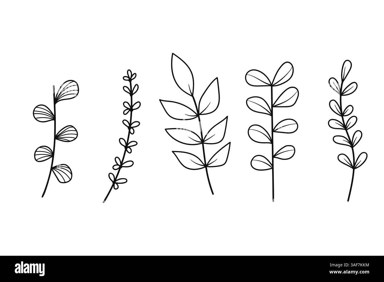 Twigs with leaves hand drawing botanical collection.Vector illustration ...