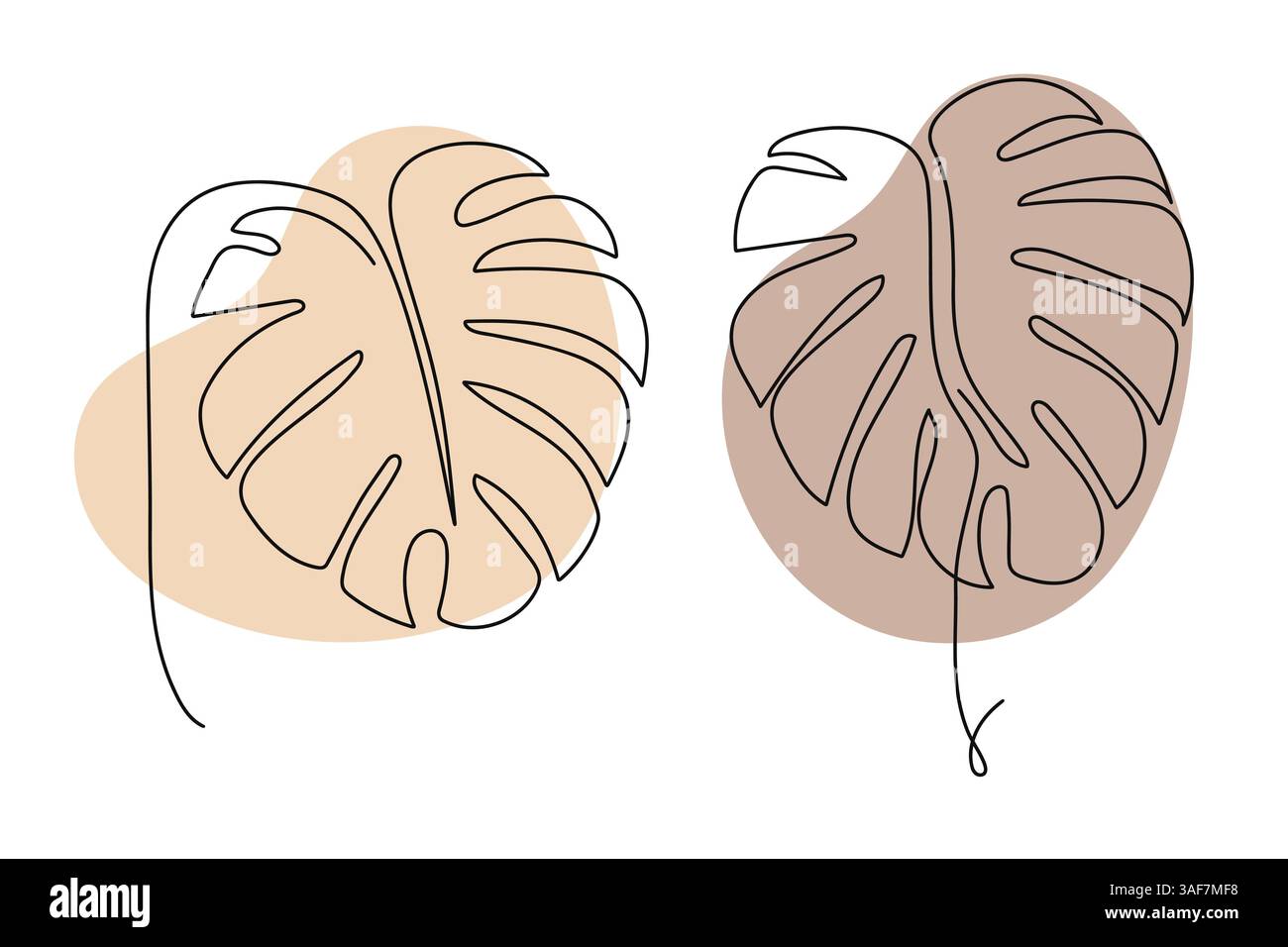 A collection of contemporary hand-drawn monstera leaves in line art ...