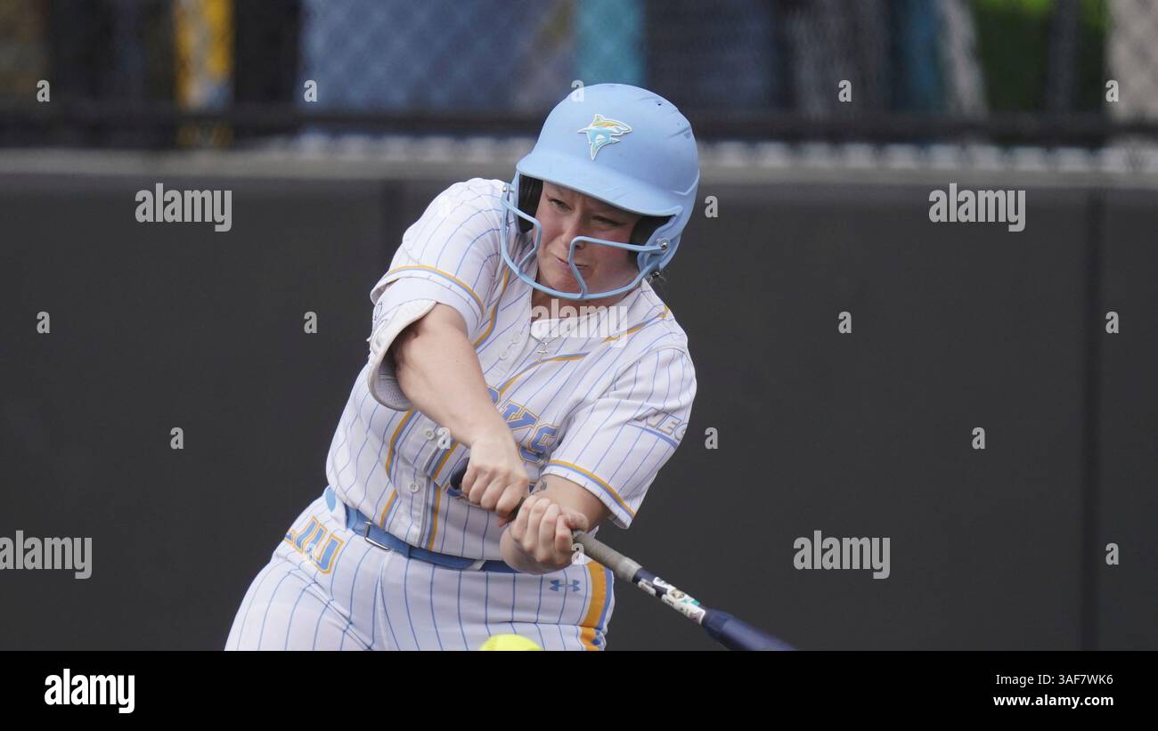 LIU outfielder Dallas Andrews (26) bats during an NCAA softball game ...