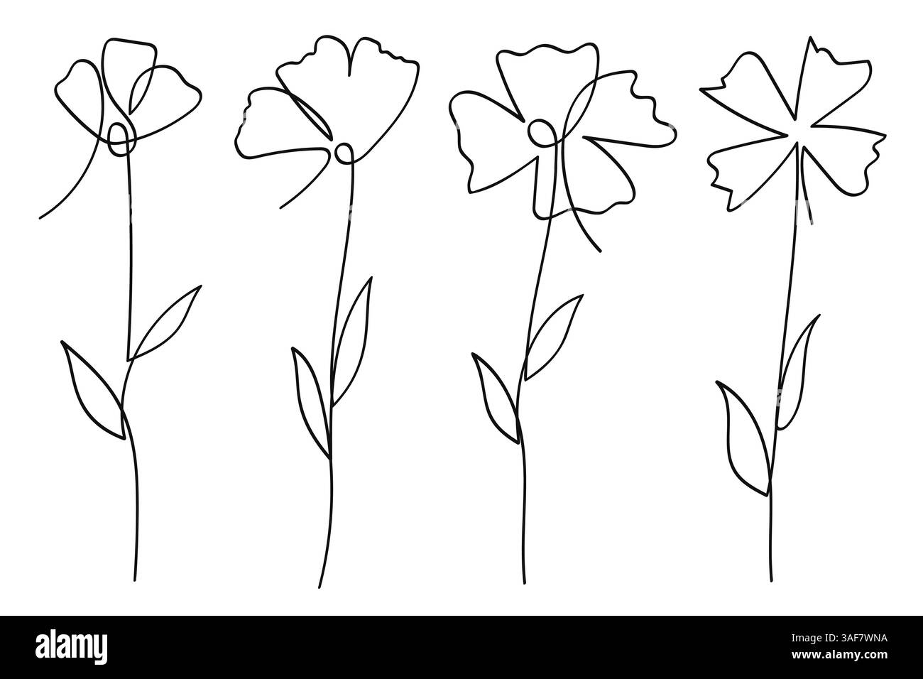 Single line art flowers botanical collection.Hand-drawing vector ...