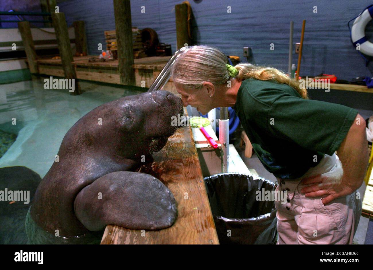 SP 129459 - - DELIVER TO: metro - - 10/3/2001 - - CAPTION INFO: Carol ...