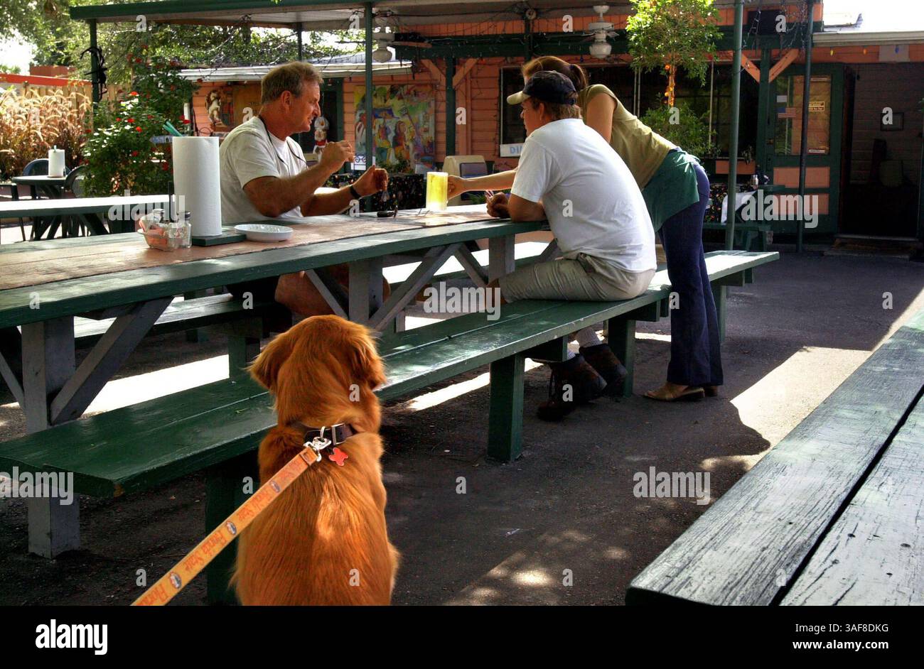 Zuccos hi-res stock photography and images - Alamy