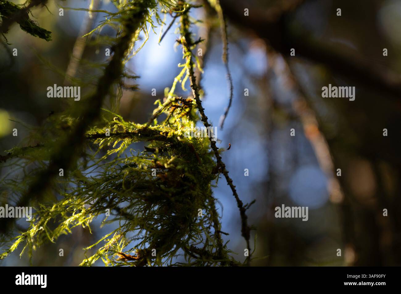 Photo biont hi-res stock photography and images - Alamy