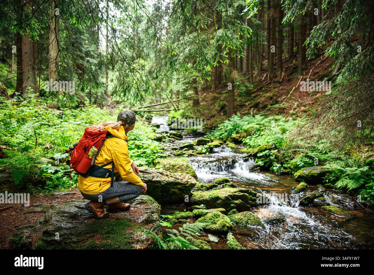 Woman hiker relax at stream in woodland. Forest therapy while hiking in ...