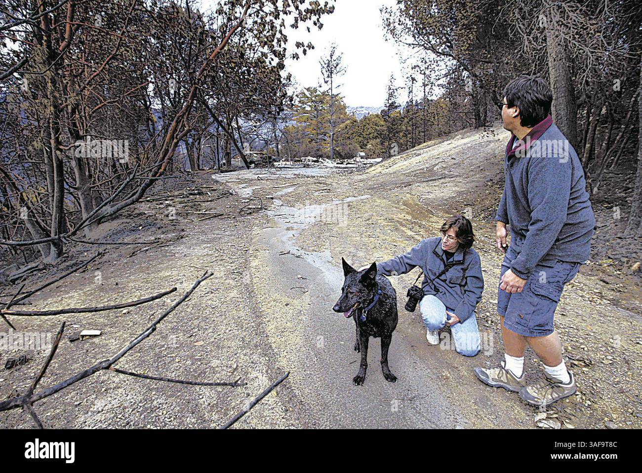 Dan Coyro/Sentinel.Ellen Isaacs and Alan Walendowski see their ...