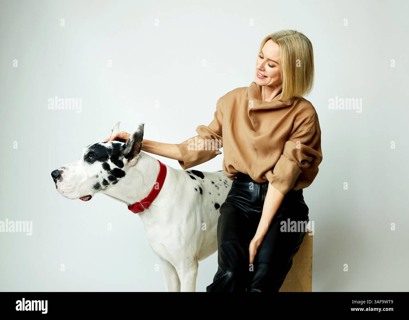 Actor Naomi Watts poses for a portrait with her Great Dane co-star Bing ...