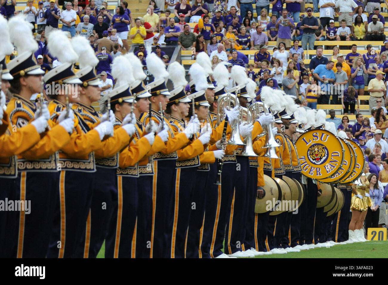 Golden band from tigerland hi-res stock photography and images - Alamy