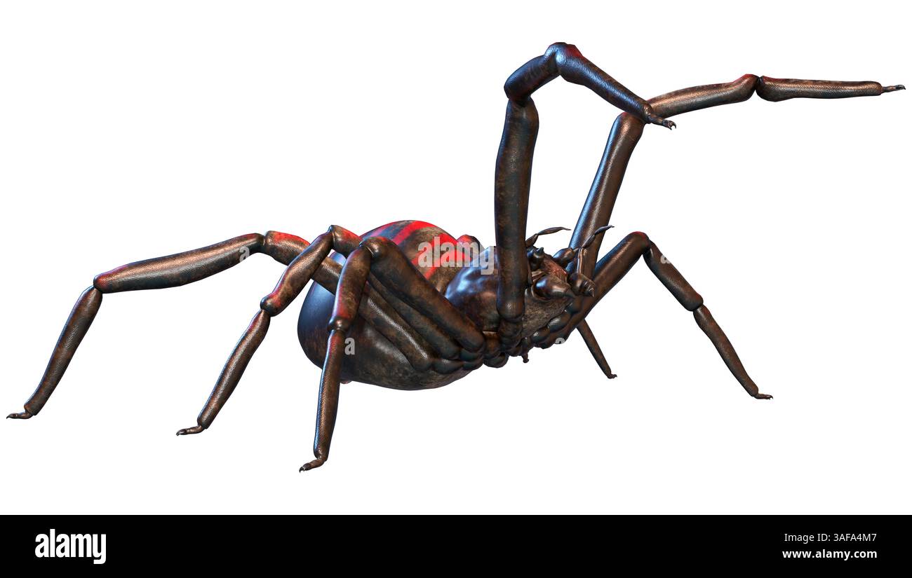 3D rendering of a giant fantasy spider isolated on white background ...