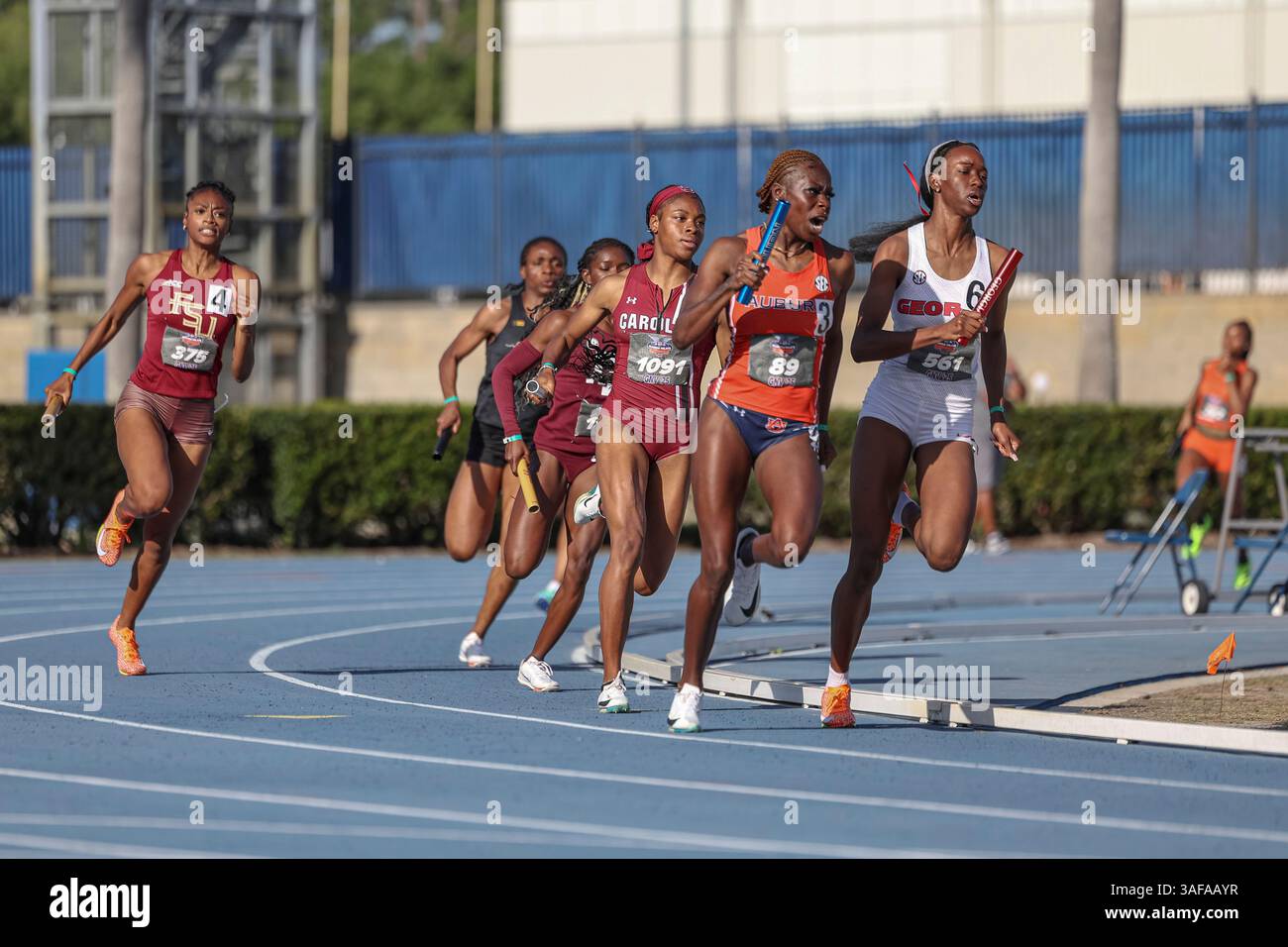Gainesville, FL. USA; The Women’s 4 x 100M Collegiate Final after the ...