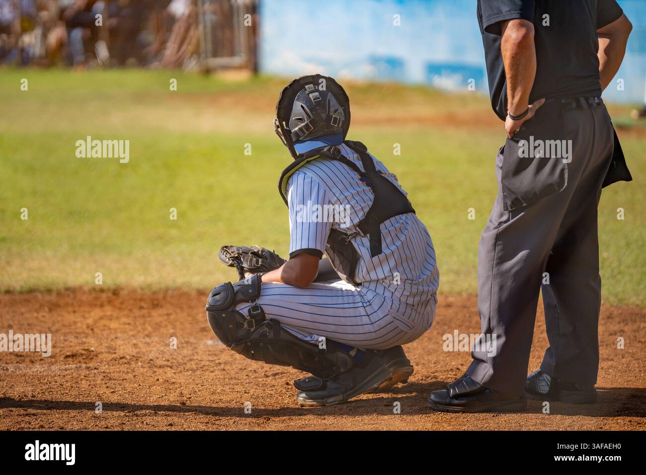 Baseball Catcher and Umpire Look on Preparing for Next Batter, Game on ...