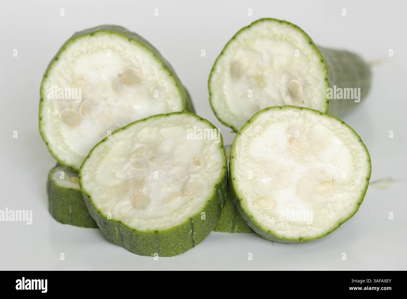 Sponge gourd, Egyptian cucumber or Vietnamese luffa (Luffa aegyptiaca ...