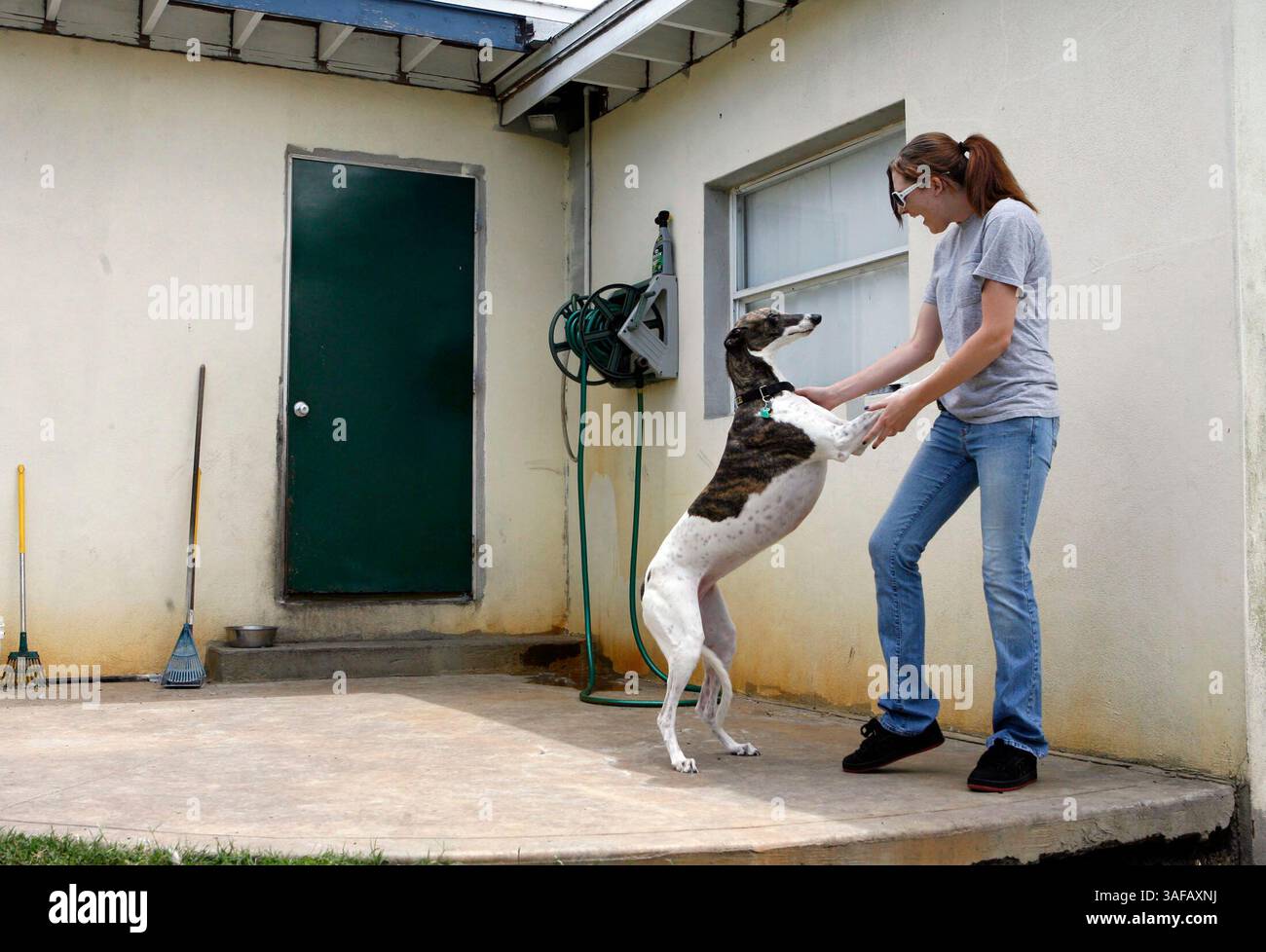SAFETY HARBOR 6/7/2007 ) Sheldegren Pet Resort's Anna-Lisa Waltz takes ...