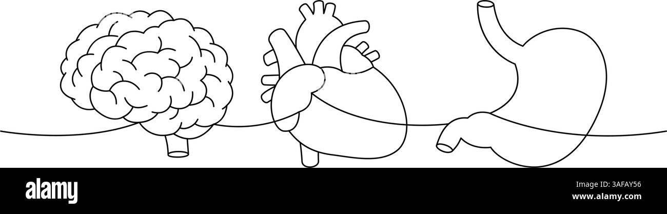 Set of human organ one line continuous drawing. Brain, heart, stomach ...