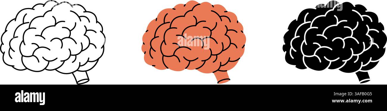 Brain icon set. Human internal organ anatomy. Vector illustration Stock ...