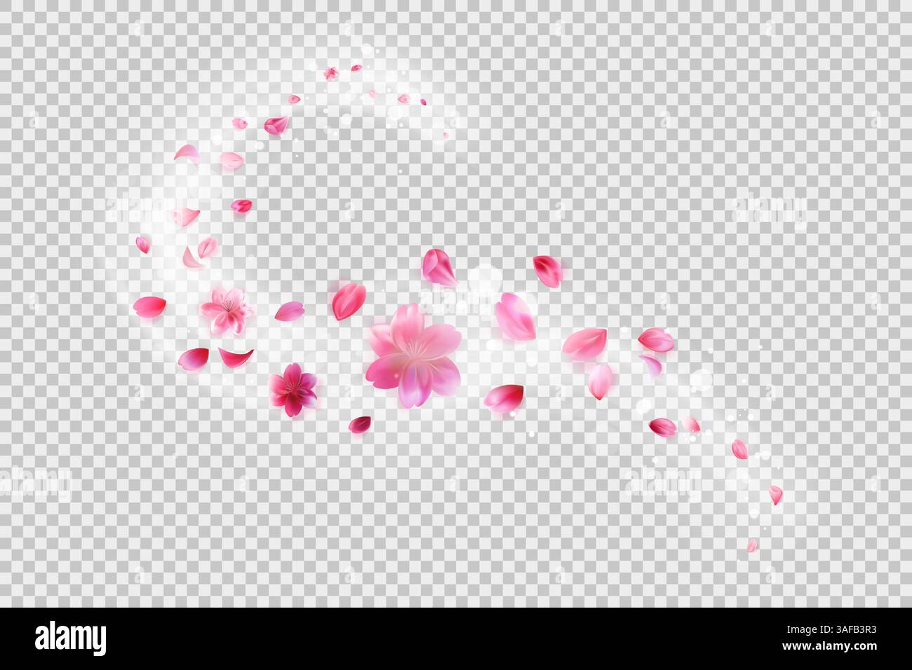 Magic Sakura Petal Swirl, Transparent Background, Vector Illustration ...