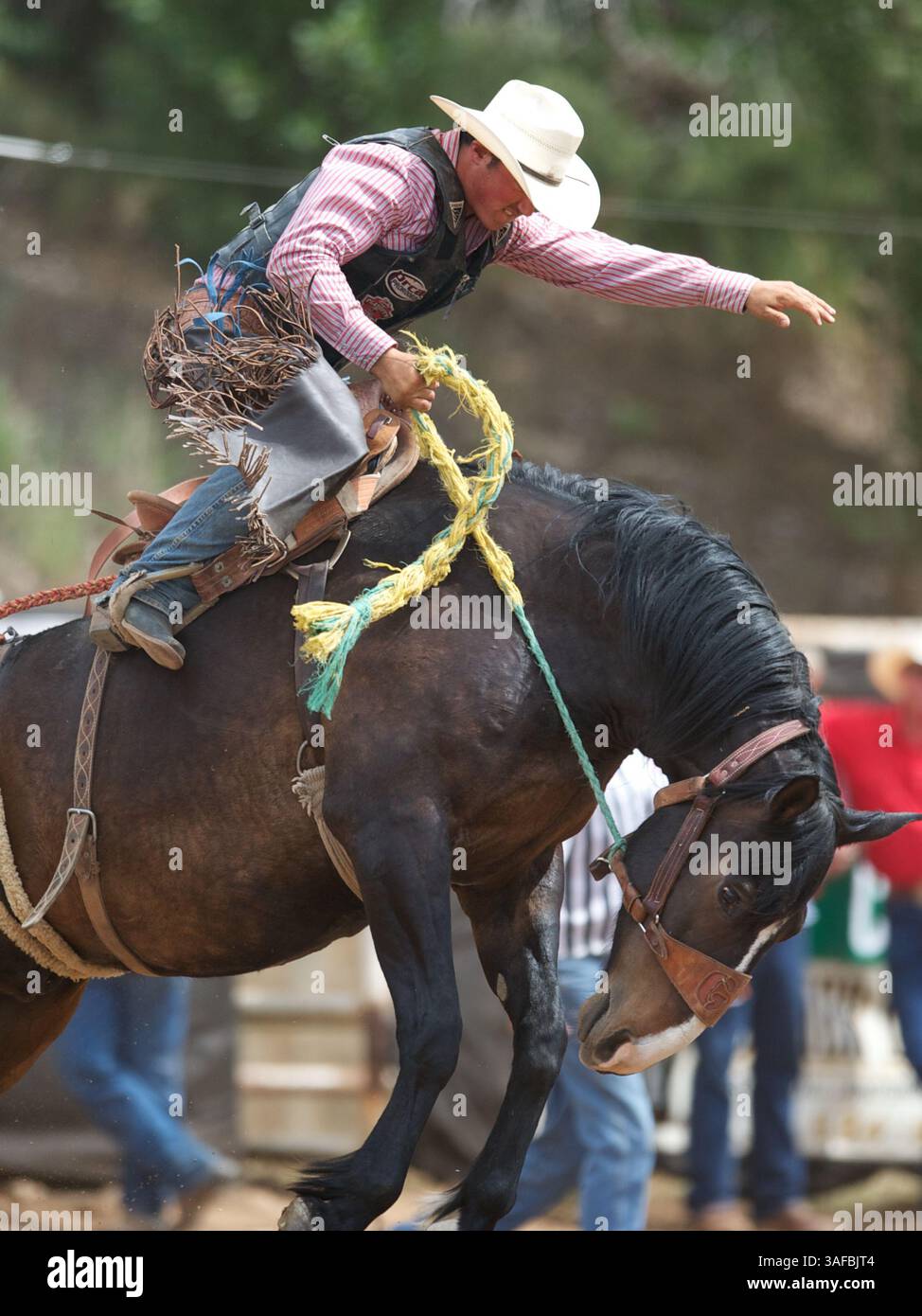 May 13, 2012 - Sonora, California, USA - Saddle bronc rider Roy Johnson ...