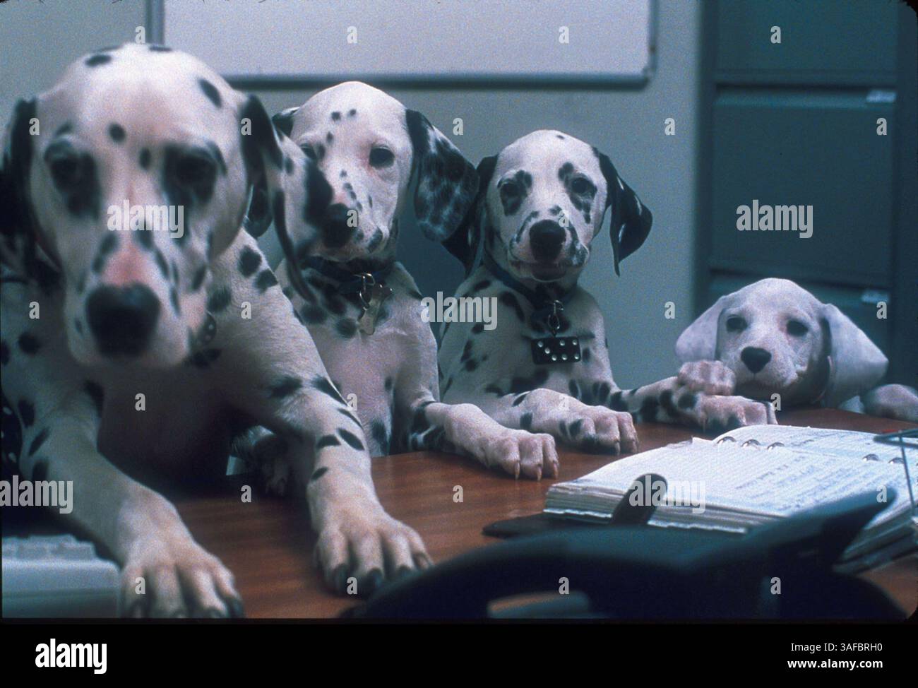 Nov 15, 2000; Hollywood, CA, USA; Dalmations in '102 Dalmations ...