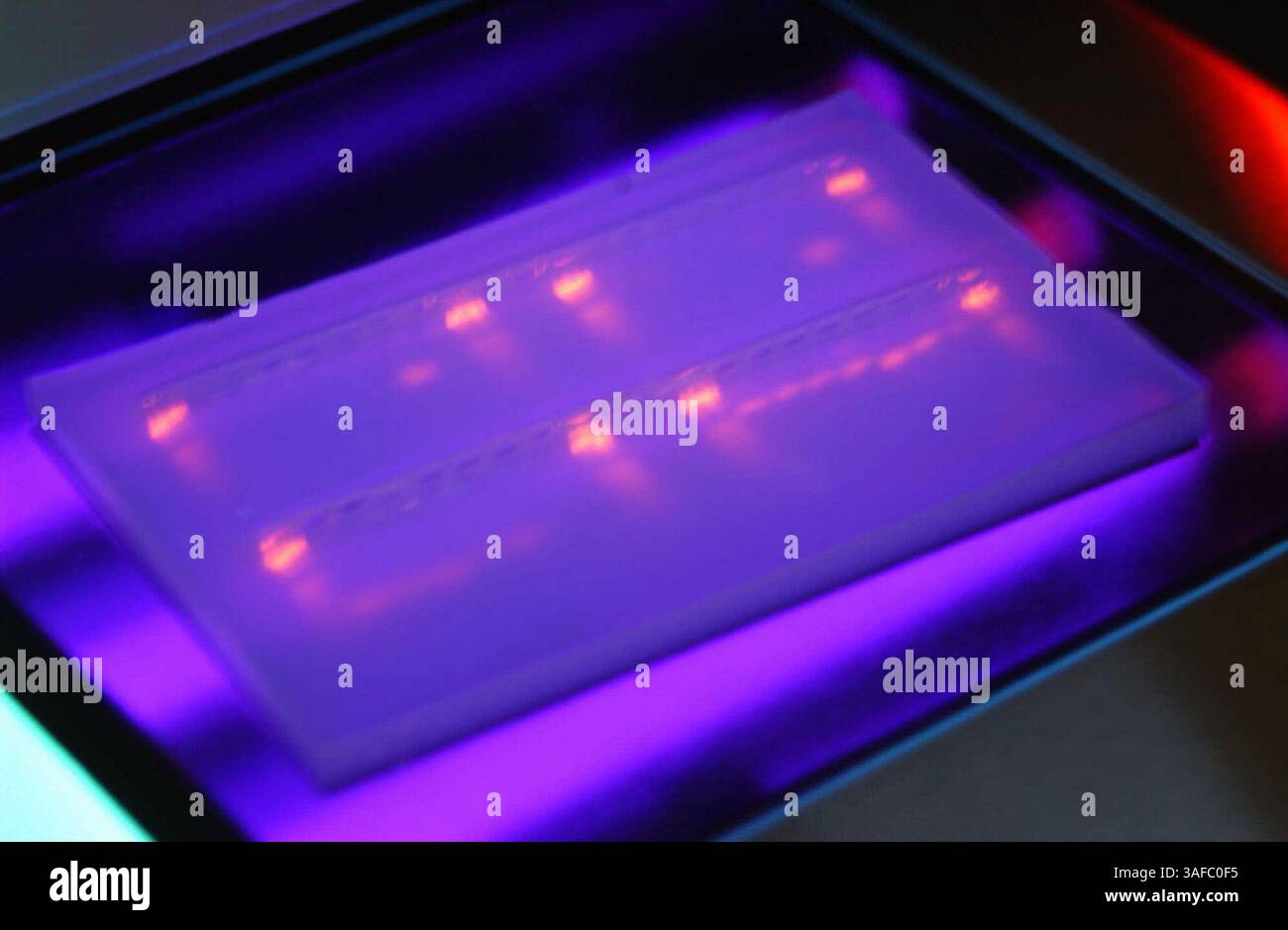 National dna database hi-res stock photography and images - Alamy