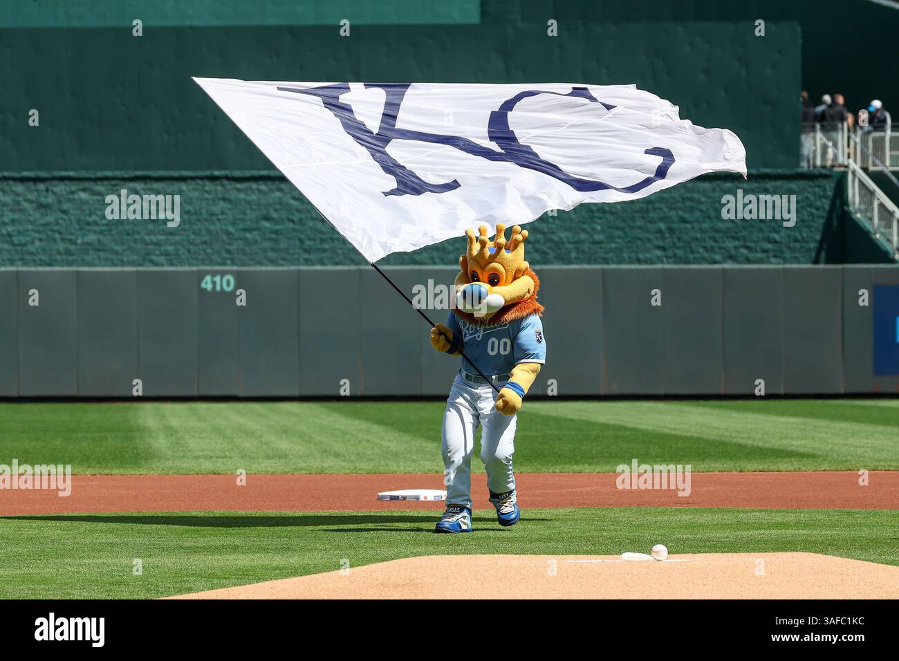 April 6, 2025: Kansas City Royals mascot Sluggerrr waves a flag on the ...