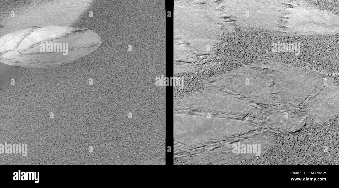 Earth like flower Black and White Stock Photos & Images - Alamy