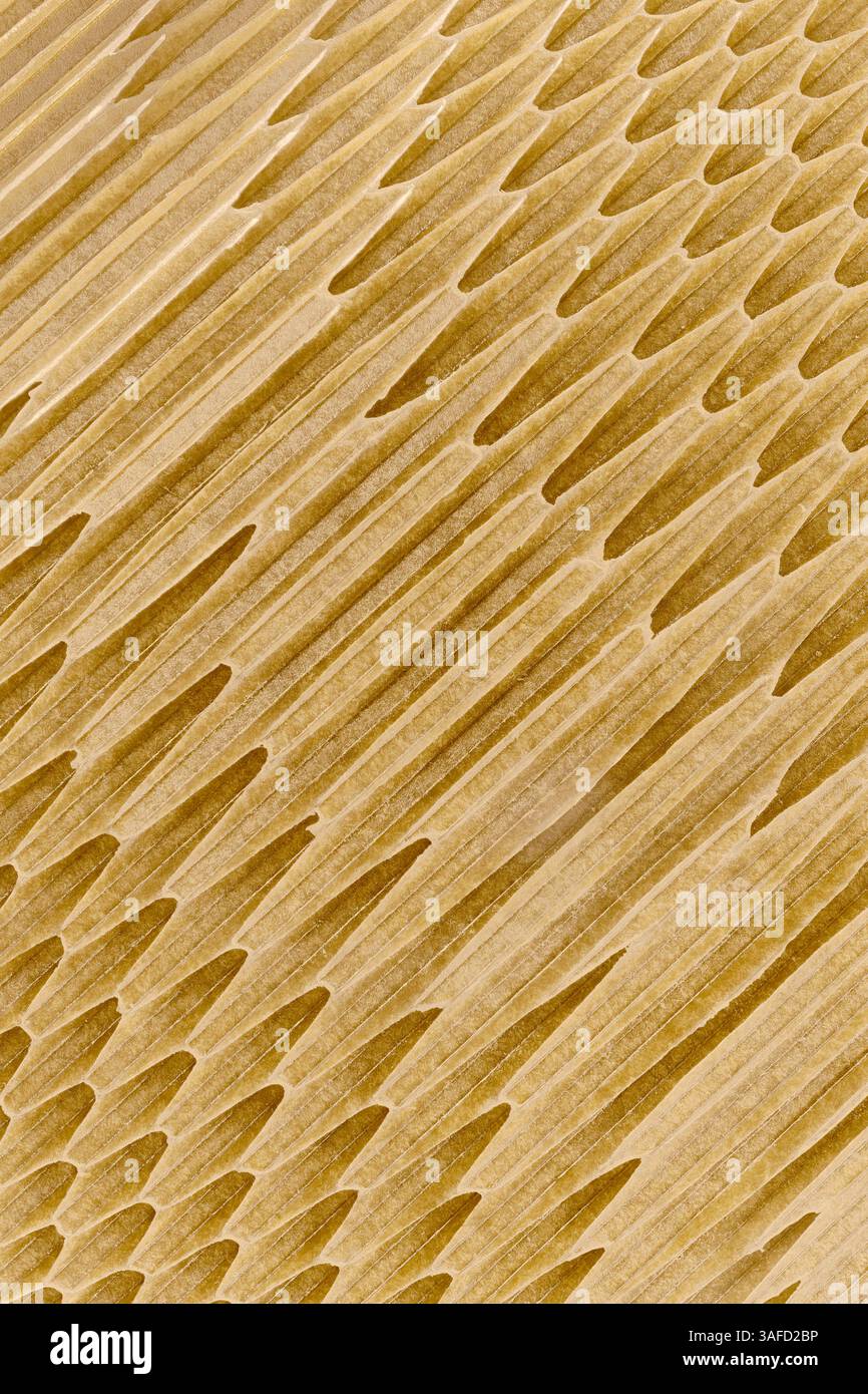 Hollow cells of honeycomb structure made of fiberglass or another ...