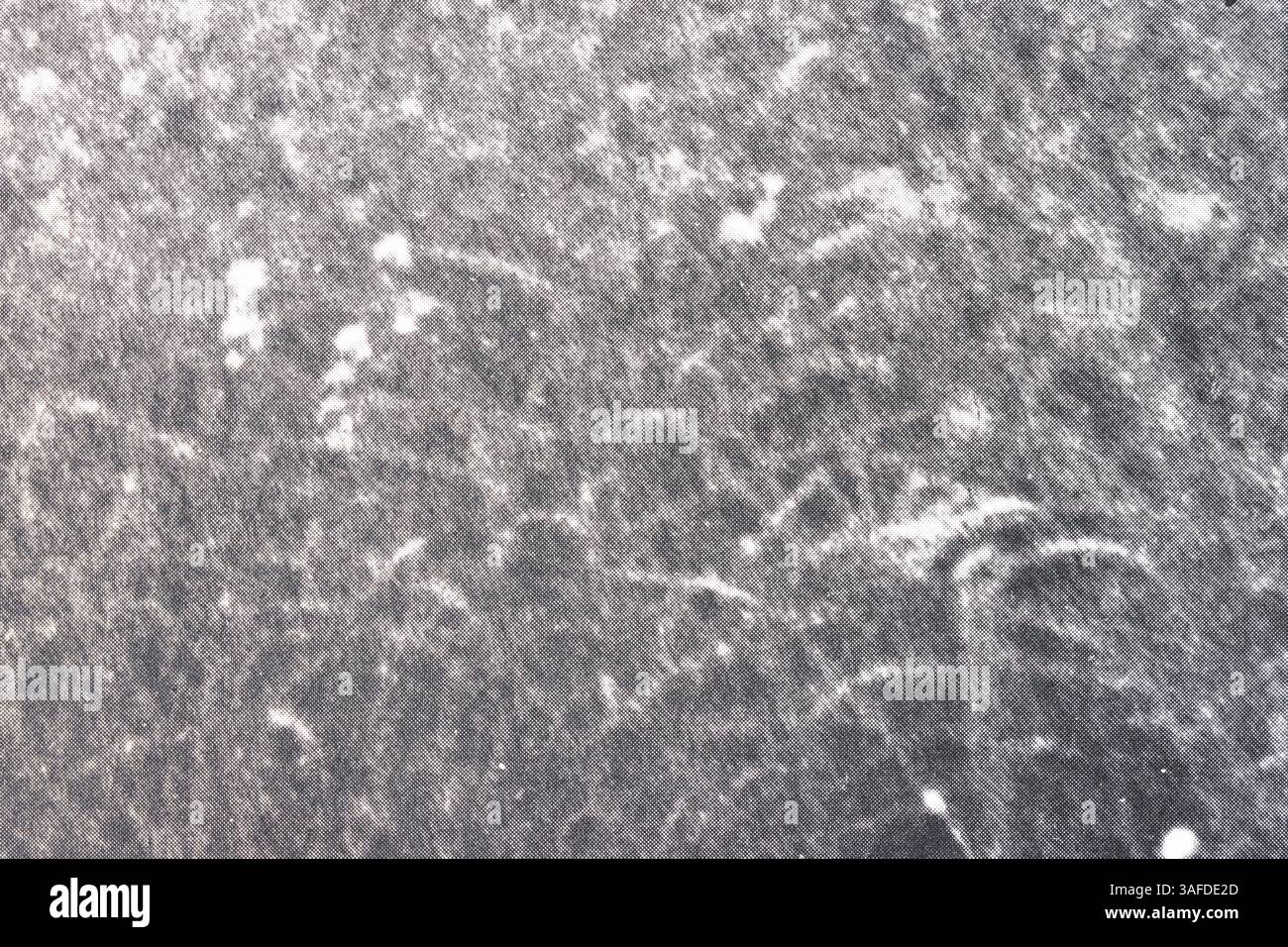 Abstract grunge texture with scratches and white marks Stock Photo - Alamy