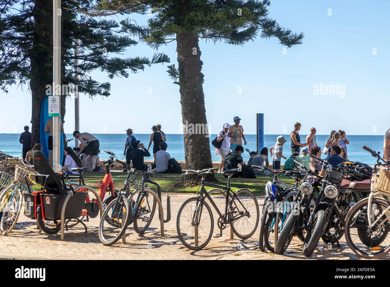 Lifestyle at Manly Beach in Sydney, people relax on the grass area ...