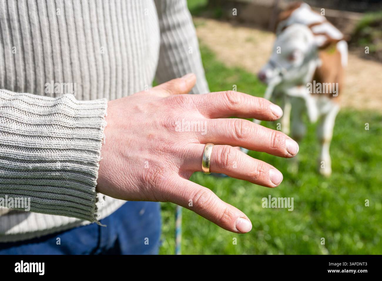 Simbach, Germany. 07th Apr, 2025. Johannes Brandhuber's hand with the ...