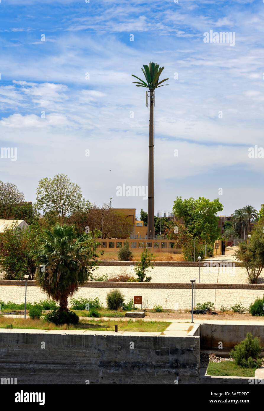 Antenna disguised as a palm tree in Esna, Egypt Stock Photo - Alamy