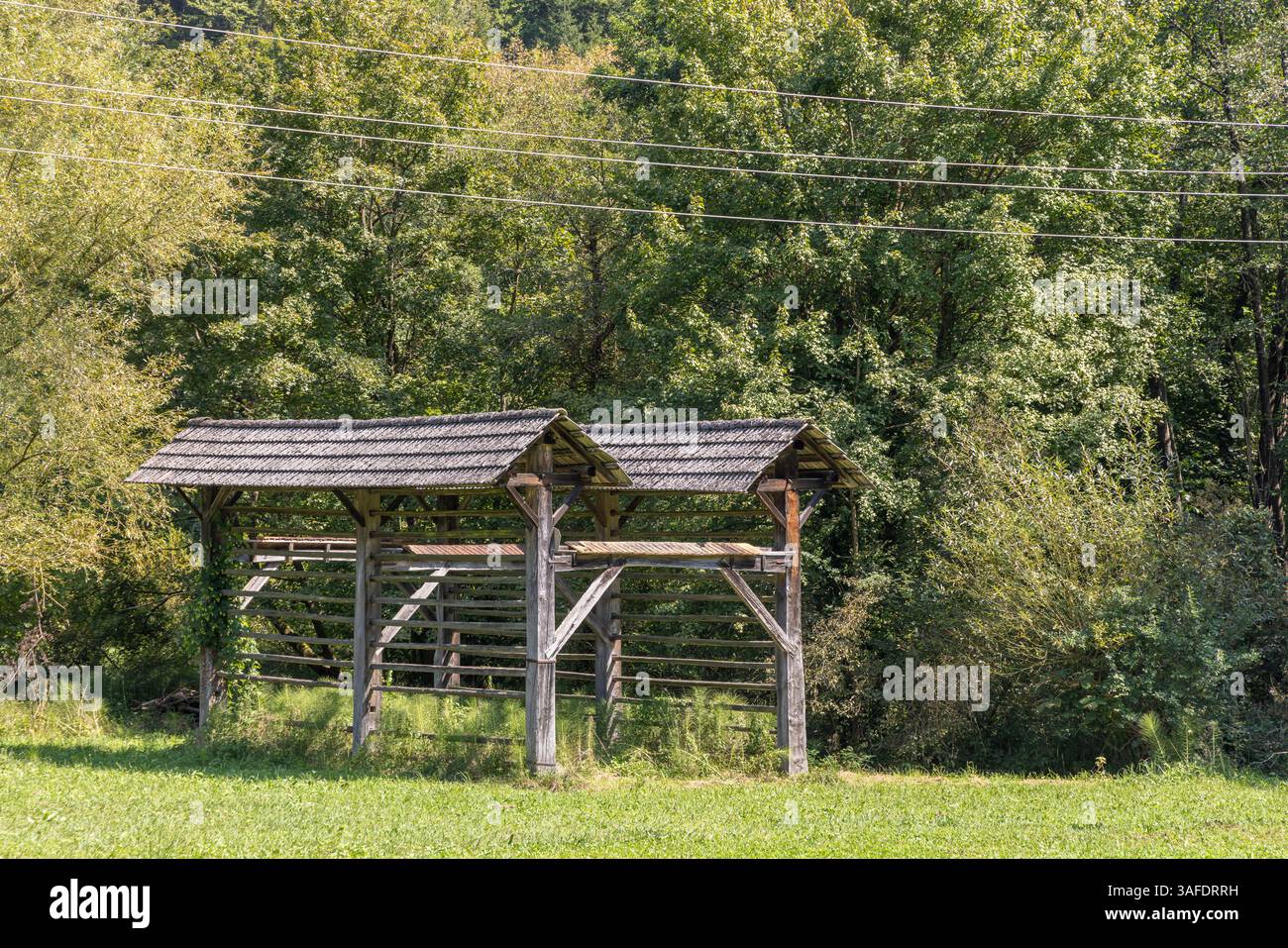 Traditional Slovenian drying hay rack in Kozjanski regional park in ...
