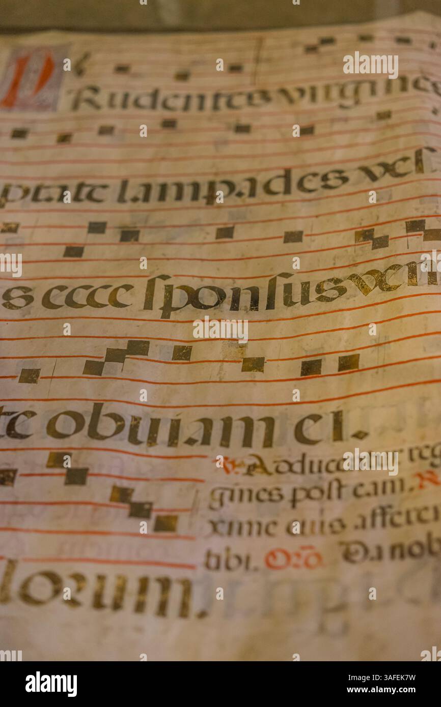 Medieval Manuscript Detail with Handwritten Text Stock Photo - Alamy