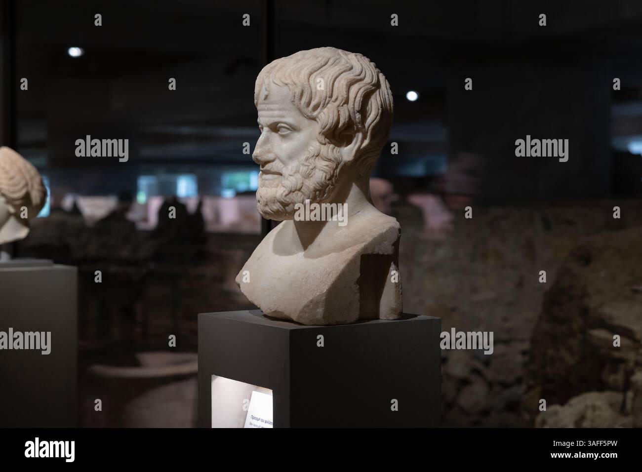 A remarkably preserved bust of Aristotle on display at the Museum of ...