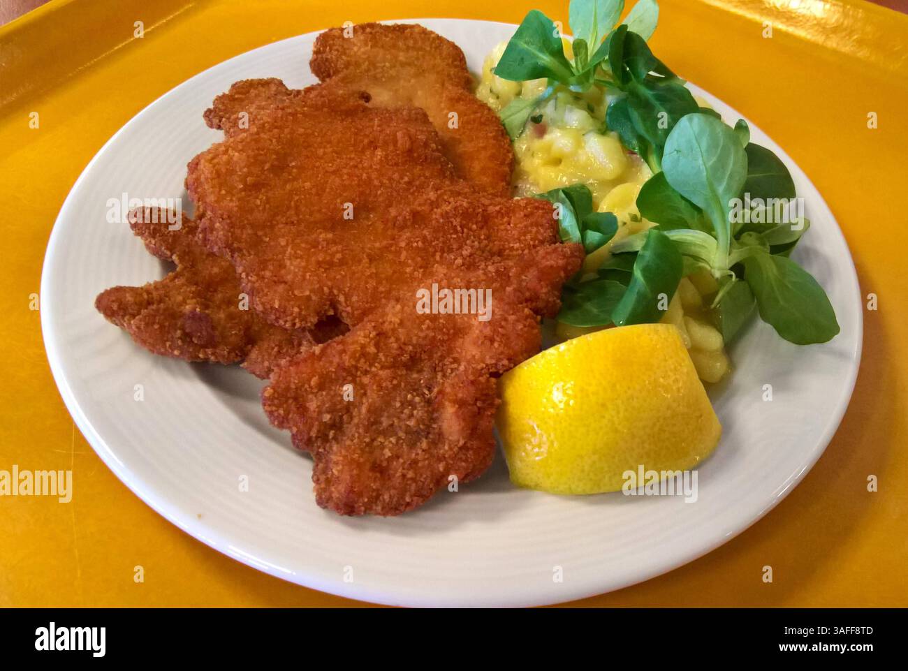 Backhendl mit Kartoffelsalat. auch Wiener Backhendl oder Backhuhn ...
