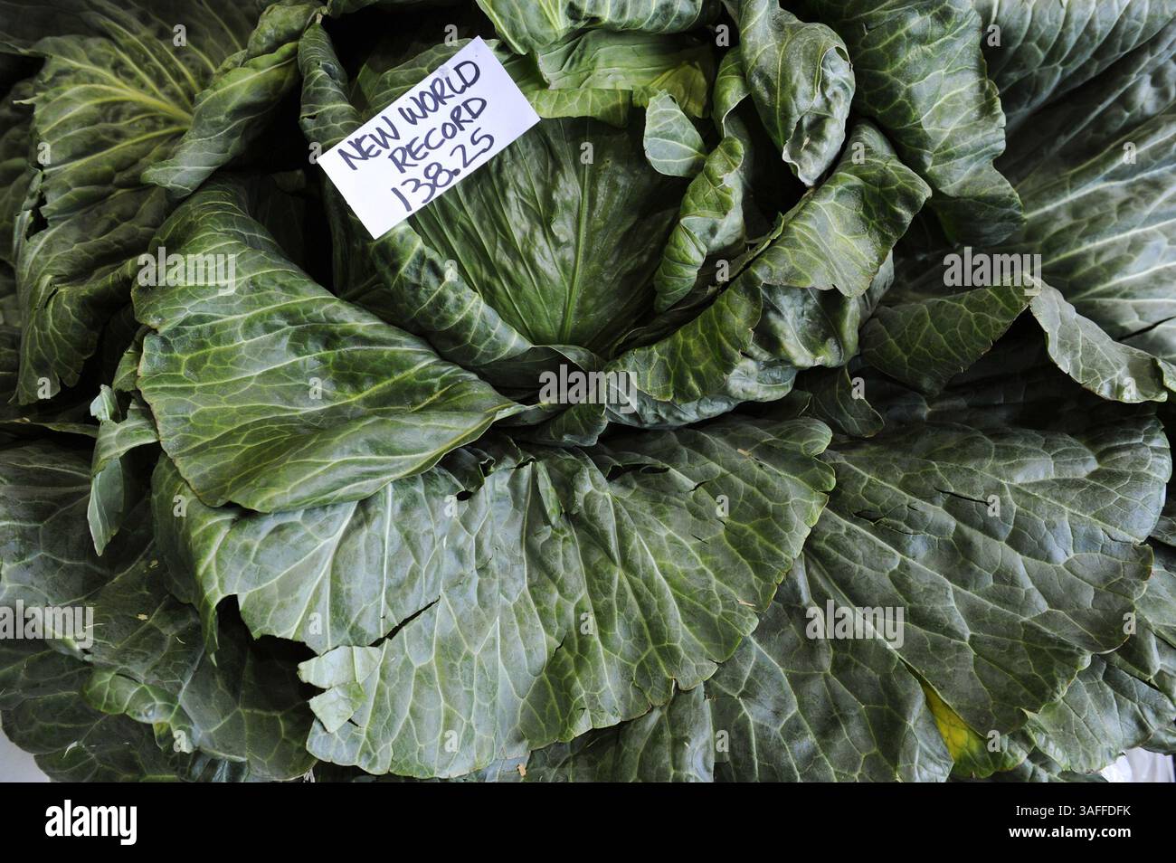 Alaska state fair hi-res stock photography and images - Alamy
