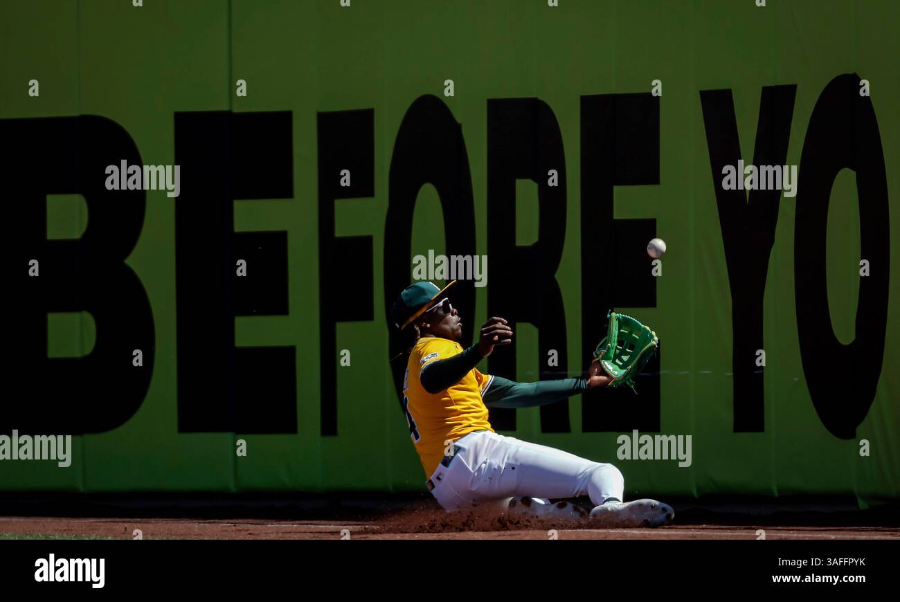 Lawrence Butler (4) can't catch a foul ball near the wall as the ...