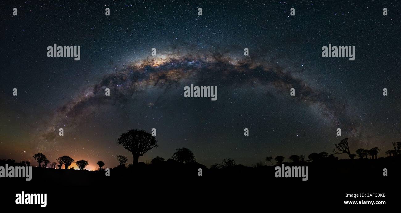 Milky Way arch over Quiver trees forest, Namibia Stock Photo - Alamy