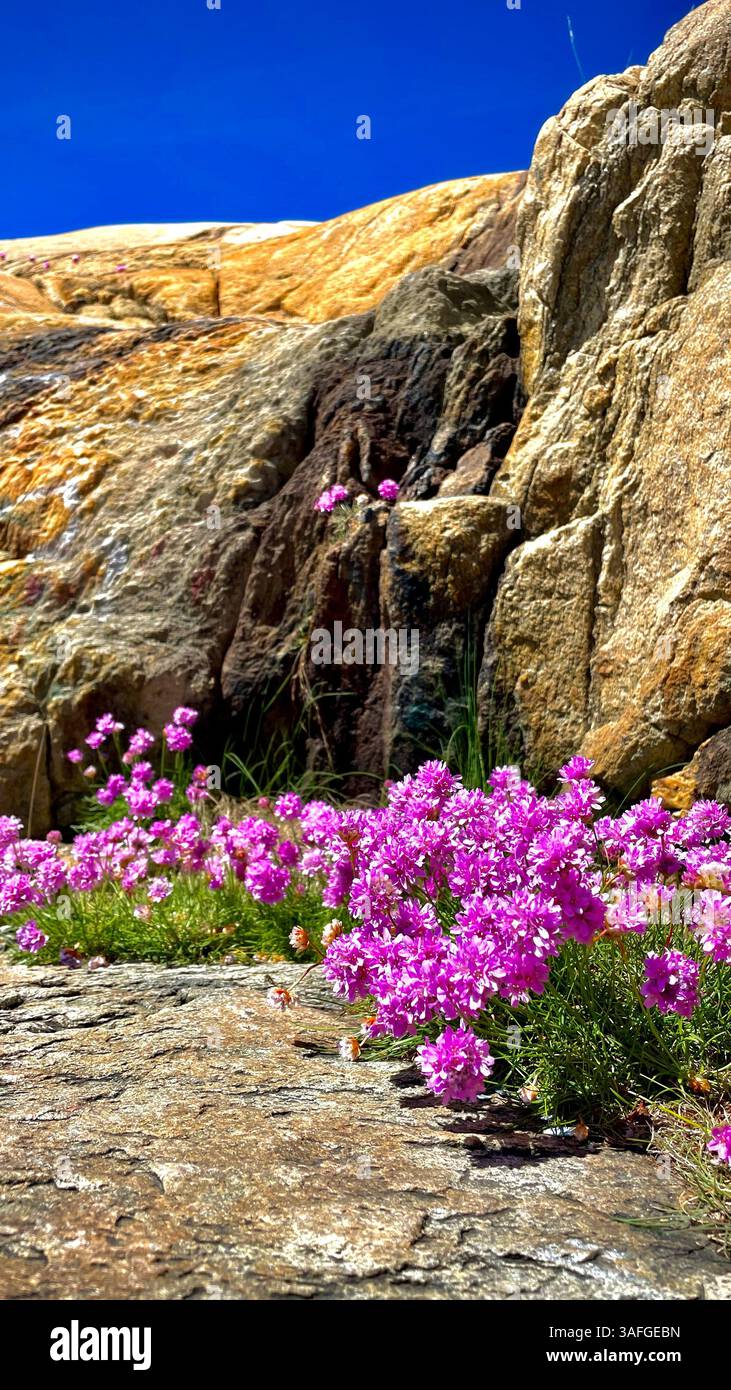 Scandinavian spring hi-res stock photography and images - Alamy