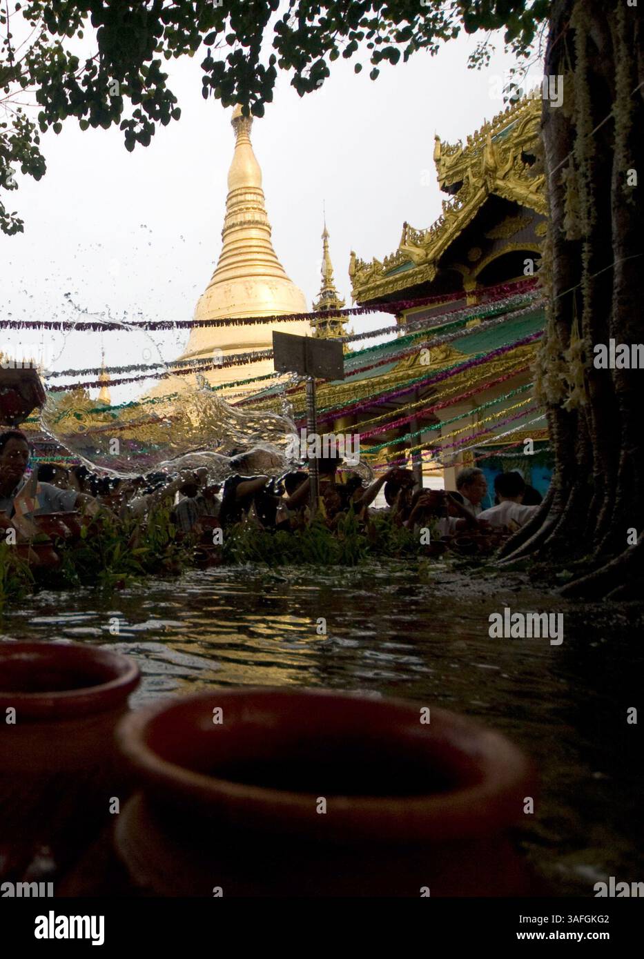 May 5, 2012 - Yangon, Myanmar - Buddhists pour water on the Banyan tree of Buddha at the ...