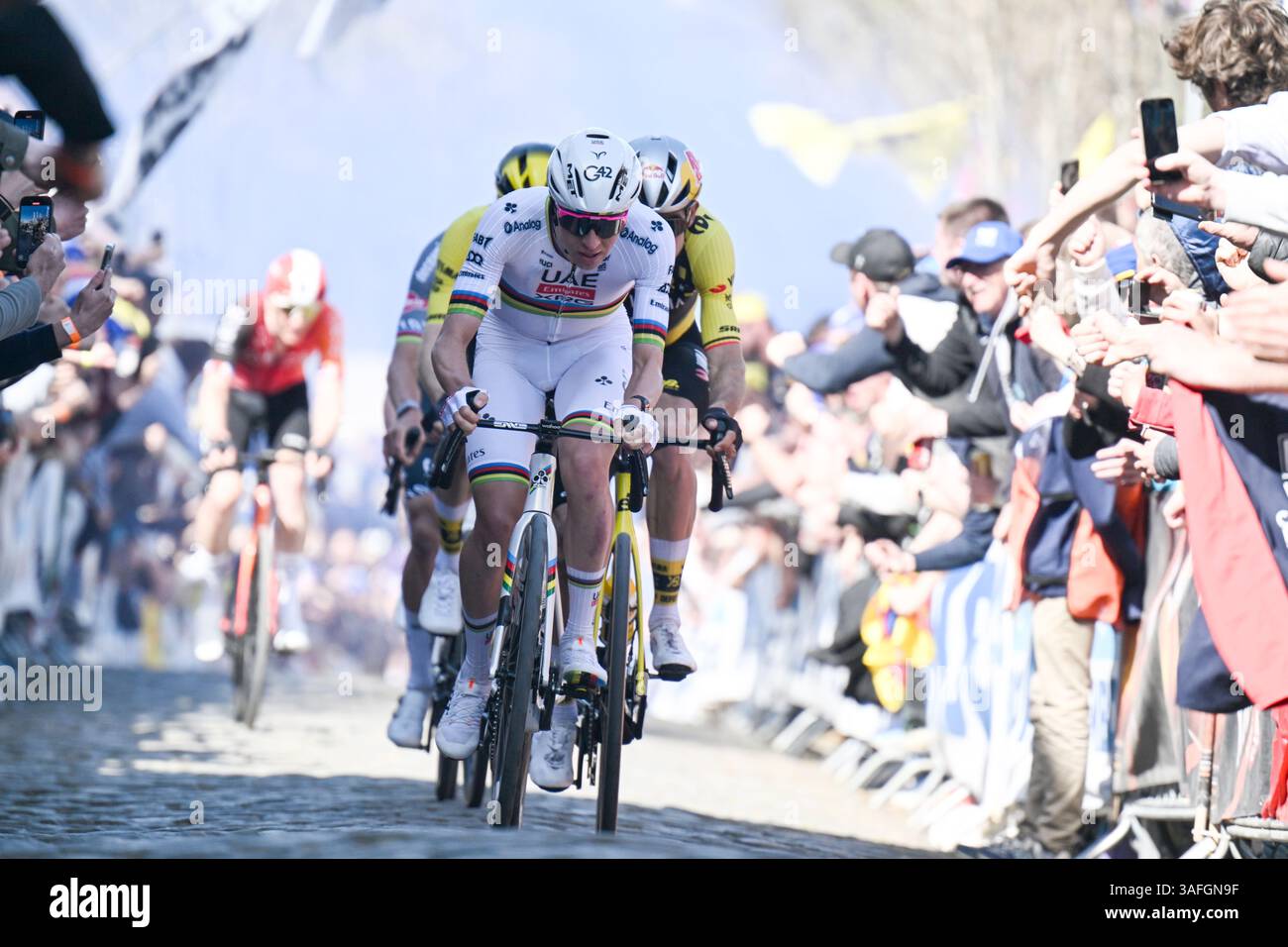 Tadej Pogacar wins Tour of Flanders 2025 Stock Photo - Alamy