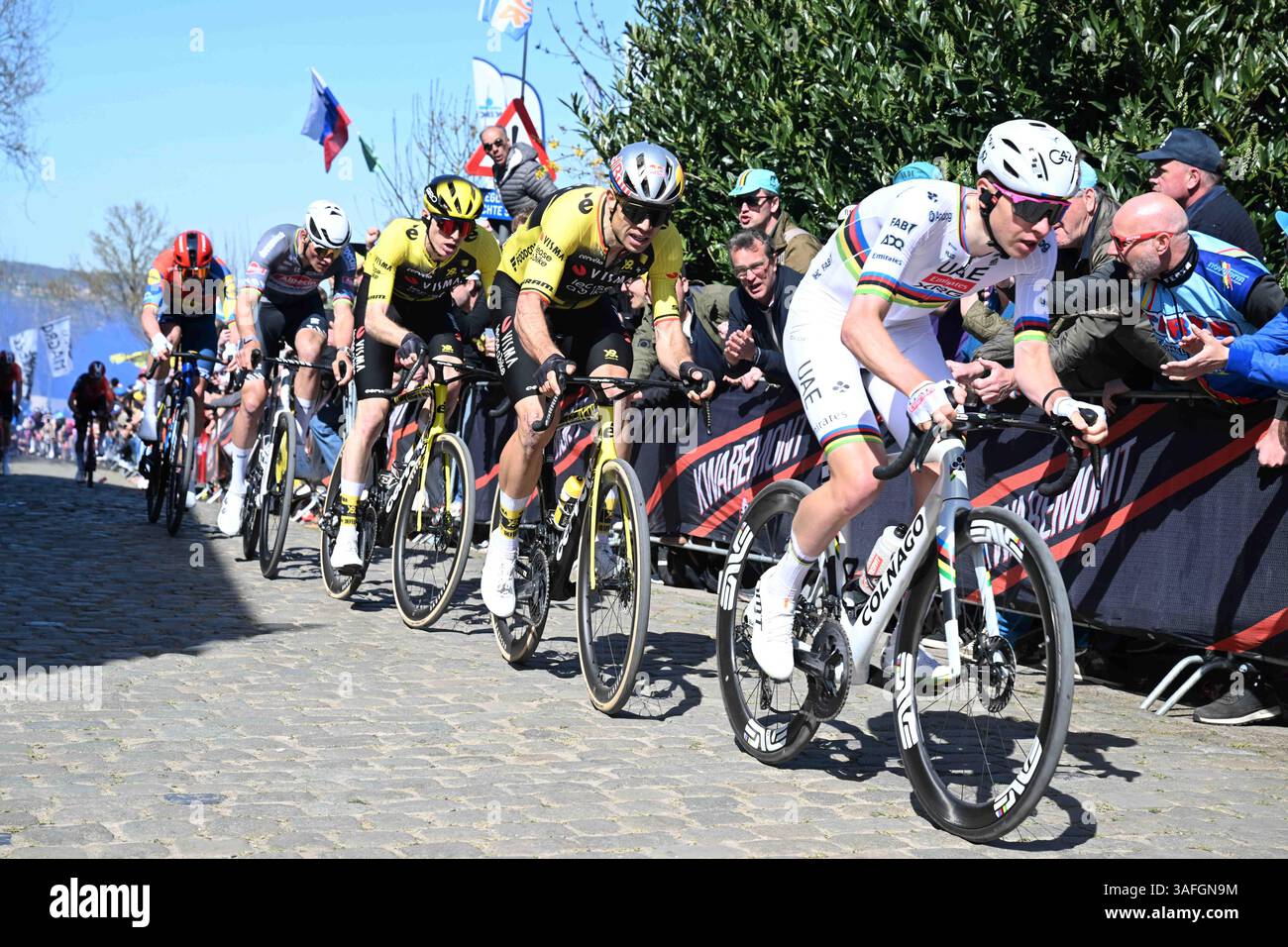 Tadej Pogacar wins Tour of Flanders 2025 Stock Photo - Alamy