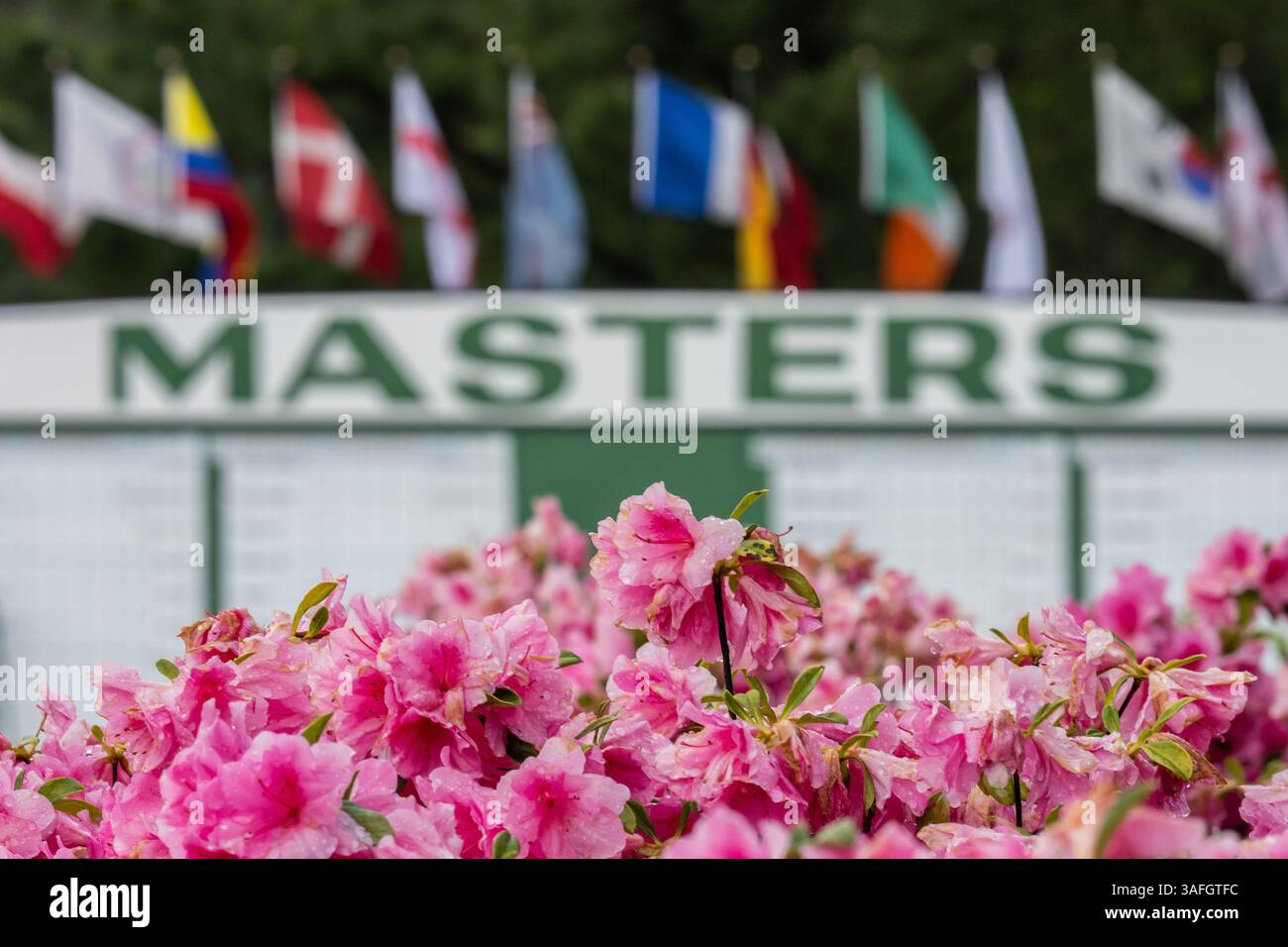 Augusta, United States. 07th Apr, 2025. 250407 Azalea flowers and the ...