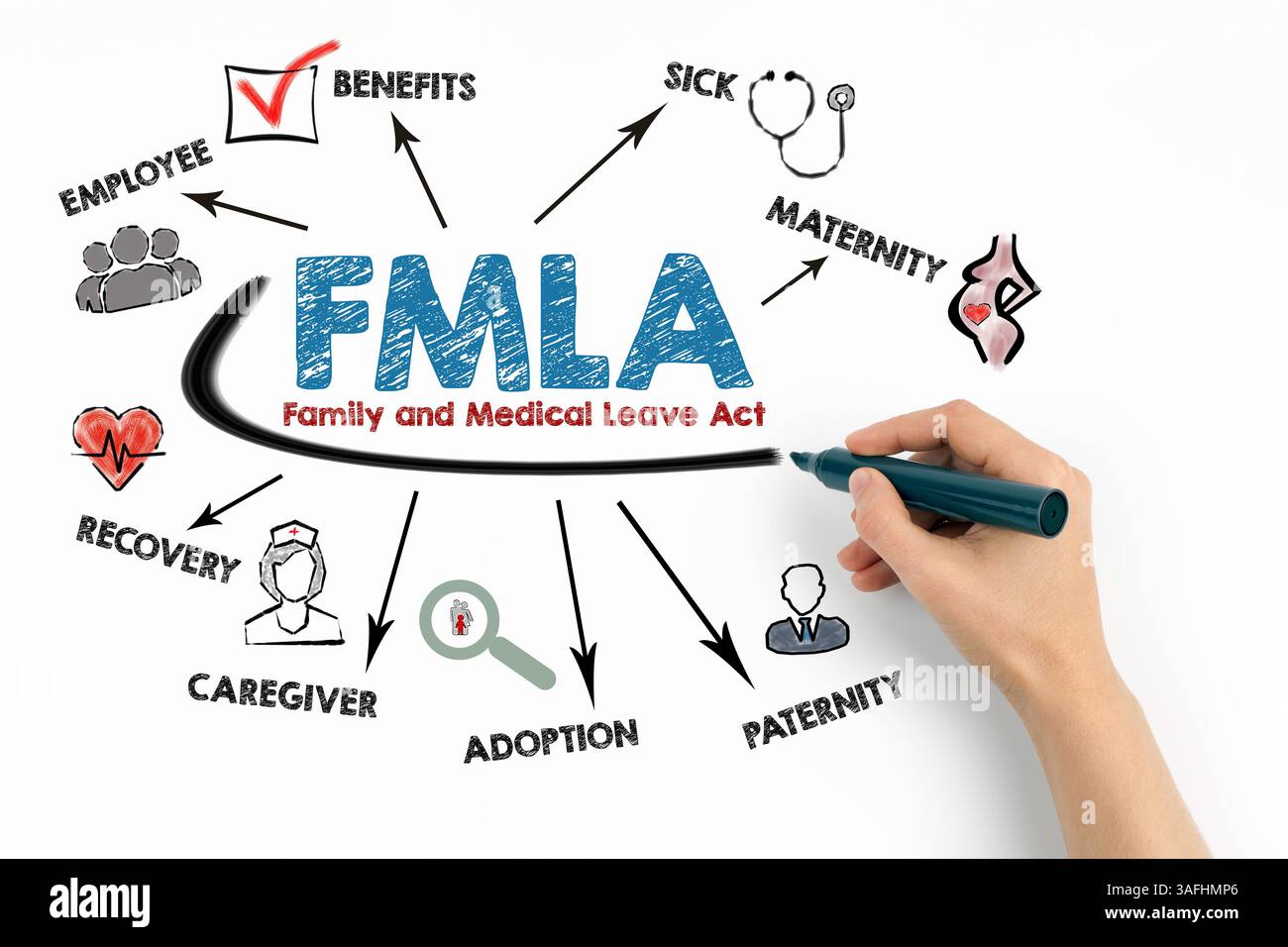 FMLA Family and Medical Leave Act Concept. Chart with keywords and icons on white background ...