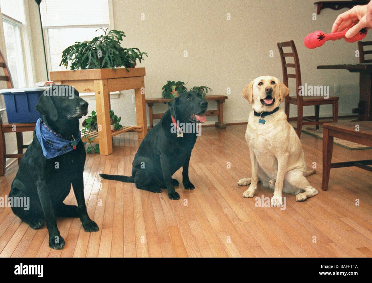 Galvin family hi-res stock photography and images - Alamy