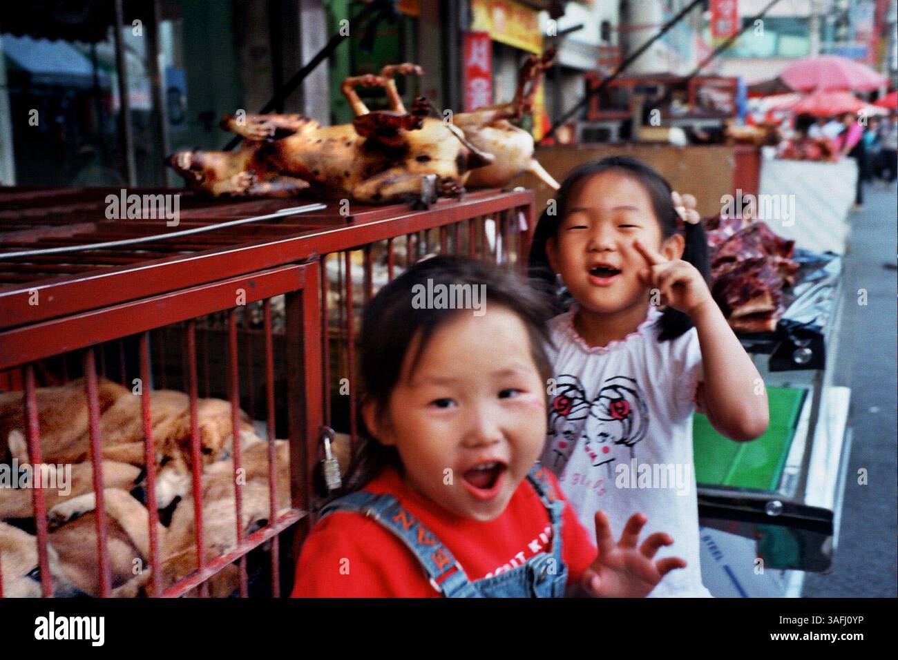 Dog meat cages korea hi-res stock photography and images - Alamy