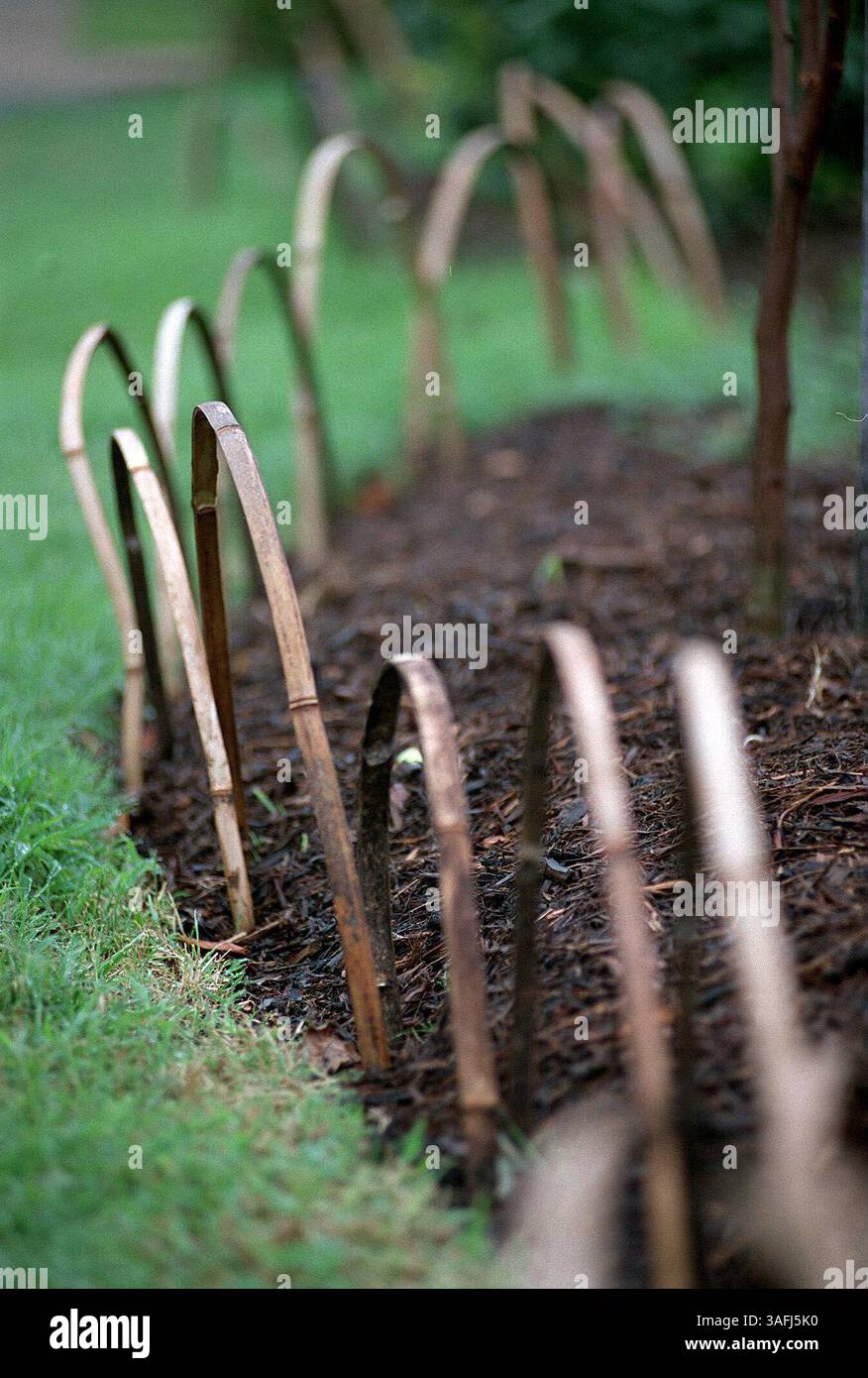 Bamboo slices create a path divider along some of the plants at the ...