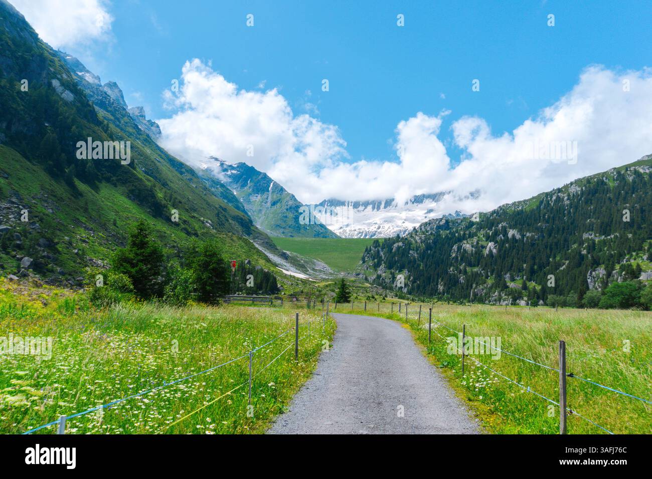 Serene wilderness path vibrant hi-res stock photography and images - Alamy